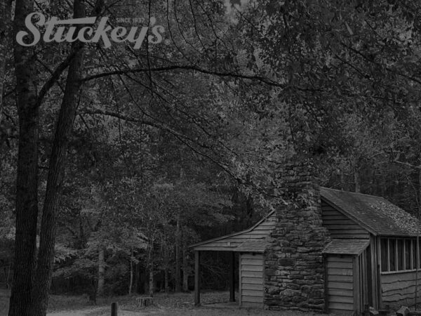 Flashback Fridays: Ghost Stories from the Campfires of Camp Rutledge ...