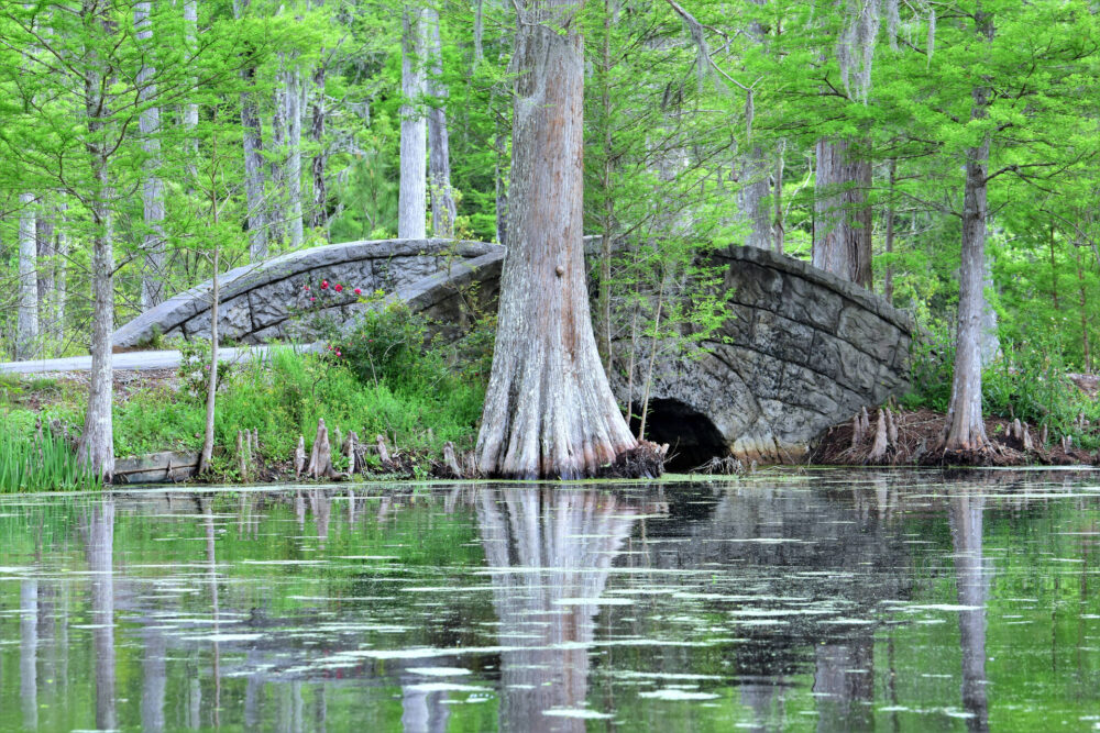 Things to See and Do Near a Stuckey’s: St. George, S.C. | Stuckey's